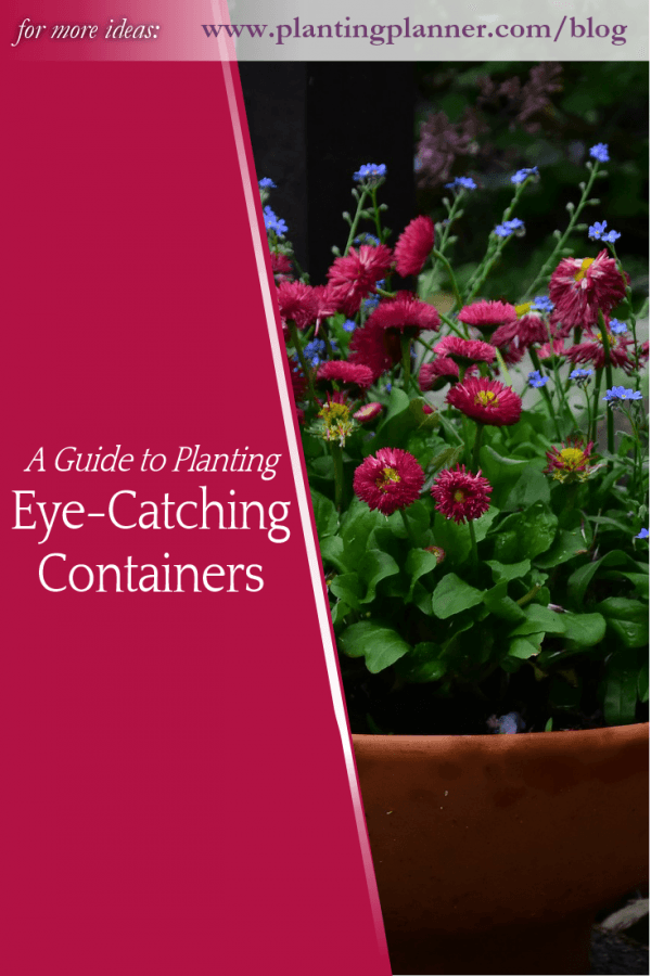 A Guide to Planting Eye-catching Containers – Gardening Ideas from the ...